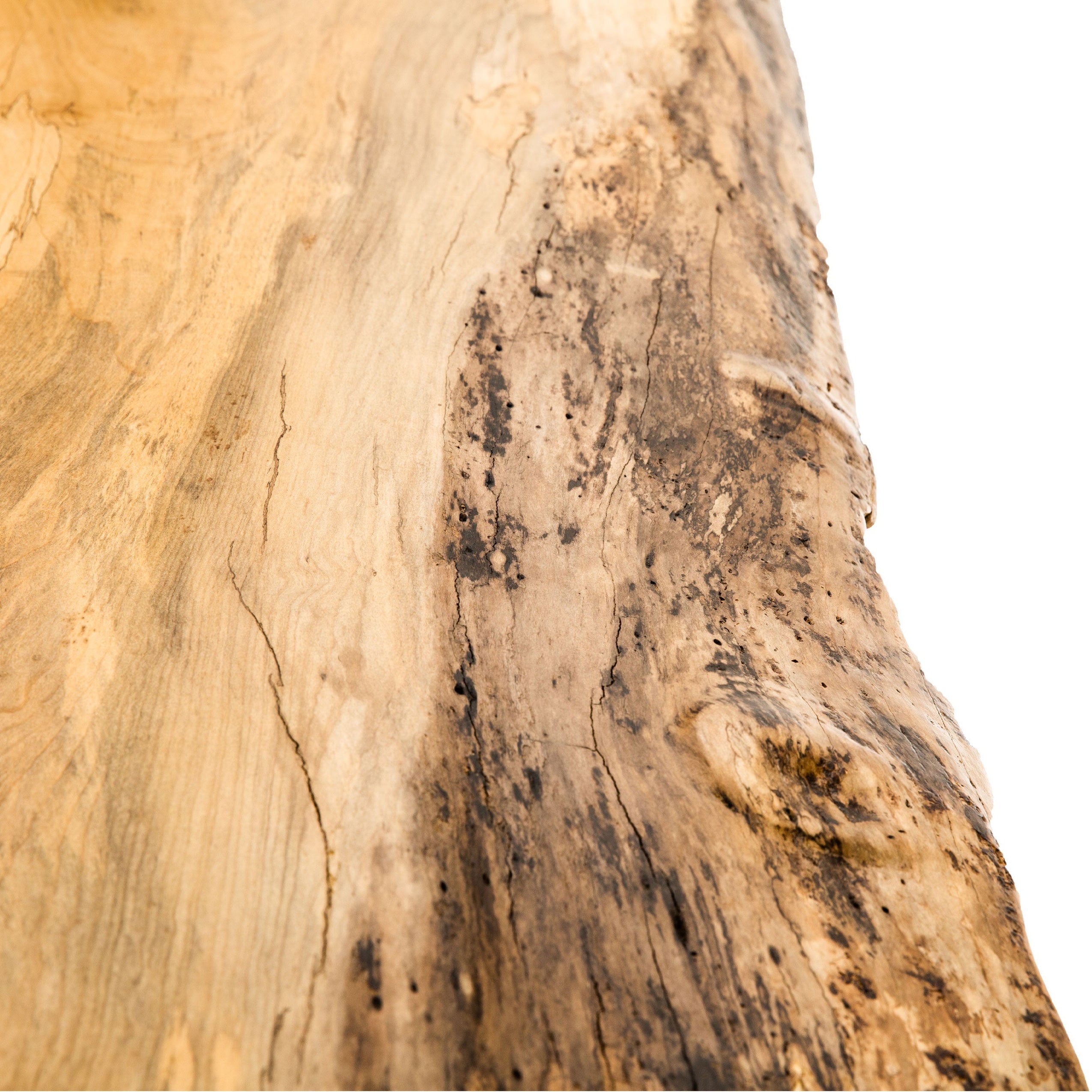 A Complete Guide to Magnolia - Old Town Timber